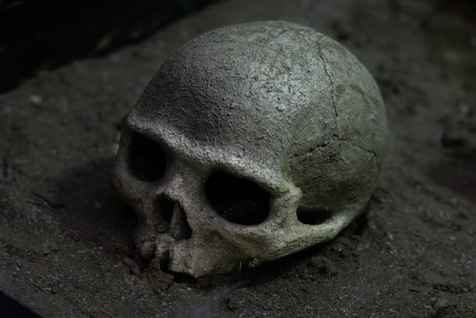 Unlock Skull Anatomy: Detailed PDF Notes & Downloads